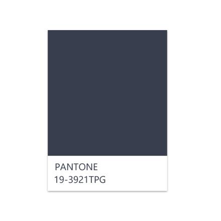 Dark Navy Pantone Tpx